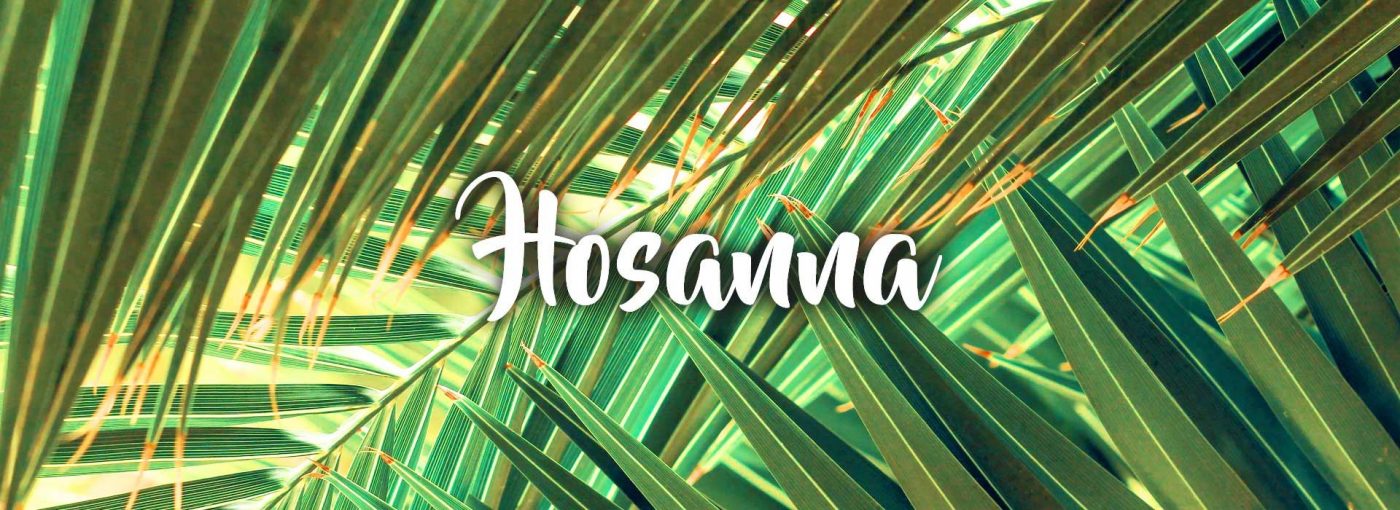 Kilrush Parish – St Senan's & Monmore